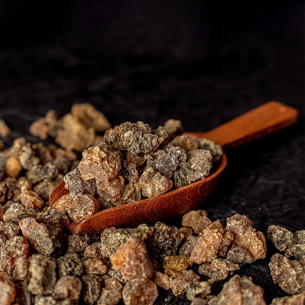 From Arid Landscapes to Your Senses: Where Do Myrrh Trees Grow ...